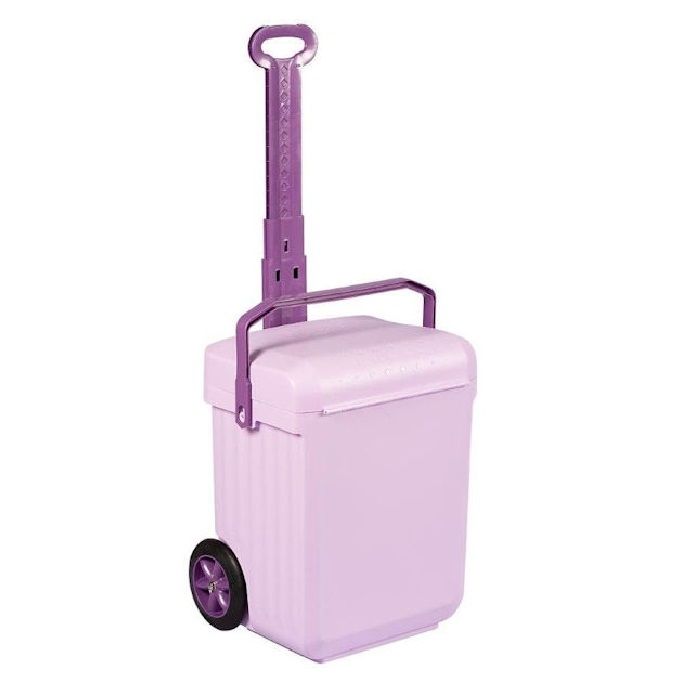 Easy Roll School Bag - Purple | Shop Today. Get it Tomorrow! | takealot.com