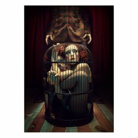 American Horror Story in the Cage - A1 Poster | Shop Today. Get it ...