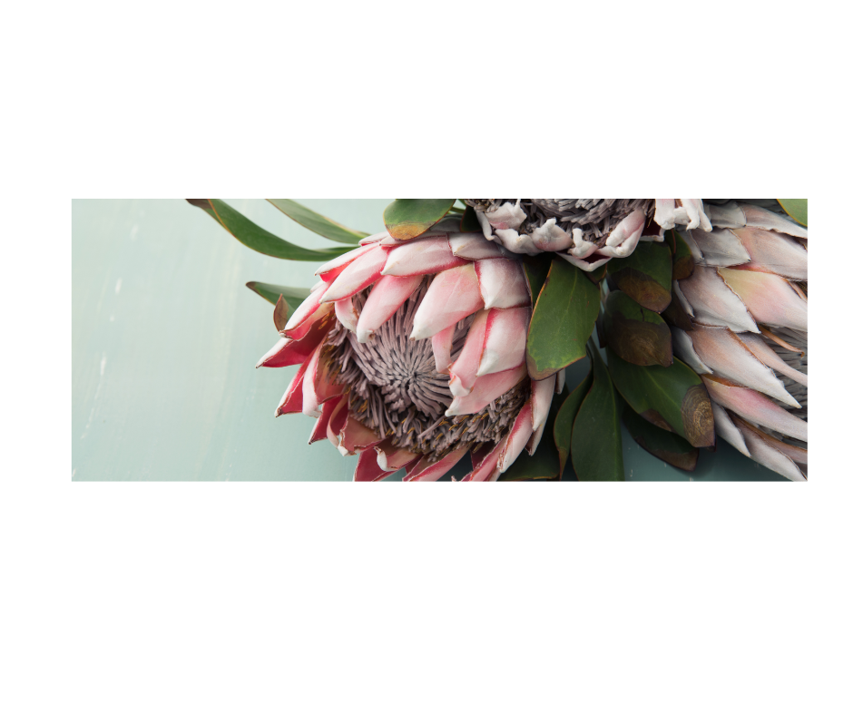 Protea Green Trio Full Desk XL Gaming & Office Mouse Pad | Shop Today ...