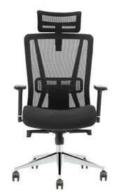 Sohum Premier Ergonomic Mesh high Back Chair | Shop Today. Get it ...