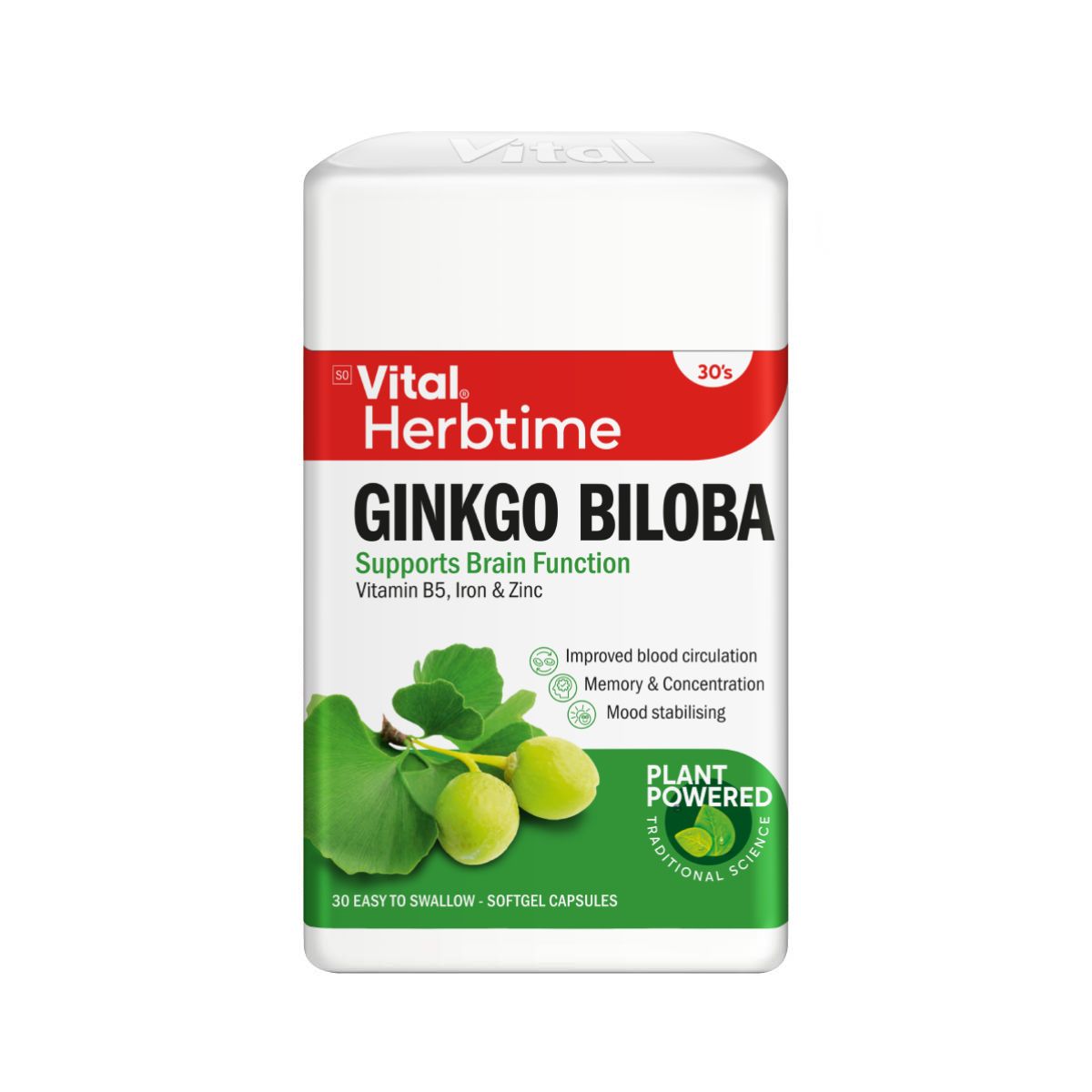 Vital Ginkgo Biloba | Shop Today. Get it Tomorrow! | takealot.com