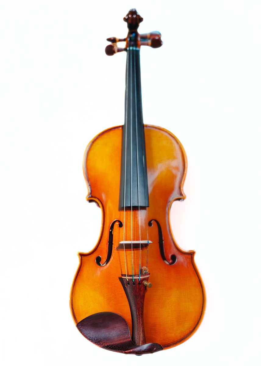 Sandner G2 Master Violin Outfit - 4/4 | Shop Today. Get it Tomorrow ...