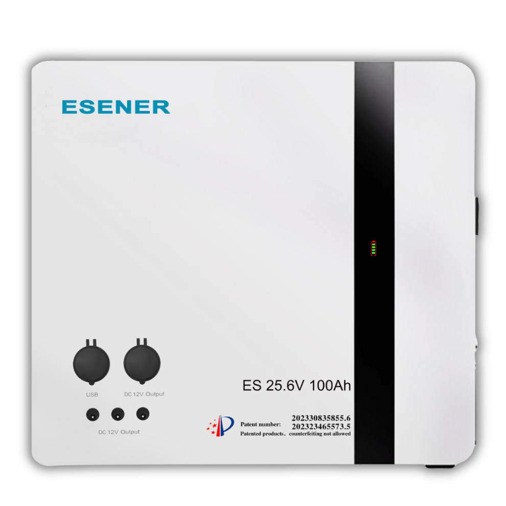 Esener 2.56KW 24V Lithium-Ion Battery | Shop Today. Get it Tomorrow ...