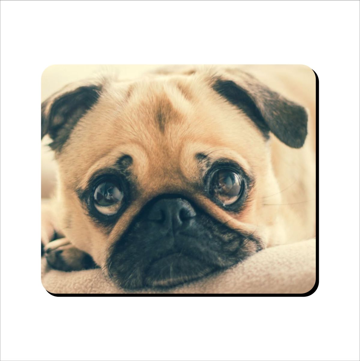 Mouse Pad - Adorable Pug | Shop Today. Get it Tomorrow! | takealot.com