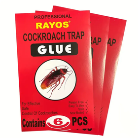 6Piece Cockroach Sticker Trap Sticky Cockroach Board | Shop Today. Get ...