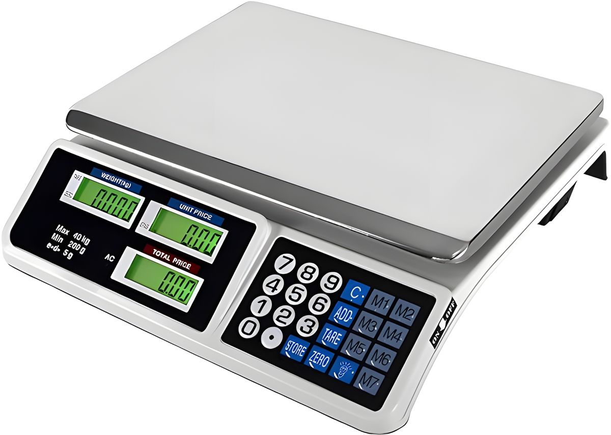 40 Kg 2-in-1 Digital Scale with Rechargeable Battery and Power Supply ...
