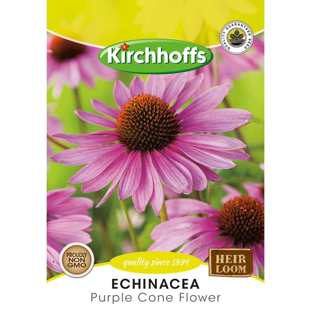 Kirchhoffs Echinacea Purple Cone Flower Seeds | Shop Today. Get it ...