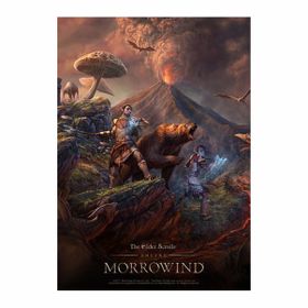 Elder Scrolls Morrowind - A1 Poster | Shop Today. Get it Tomorrow ...