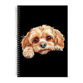 Cavapoo A4 Notebook Spiral Lined Notepad Dog Idea 374 | Shop Today. Get it Tomorrow! | takealot.com