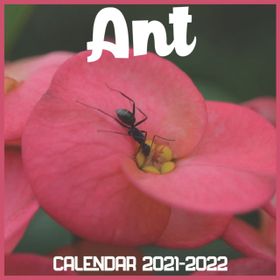 Ant Calendar 2021-2022: April 2021 Through December 2022 Square Photo ...