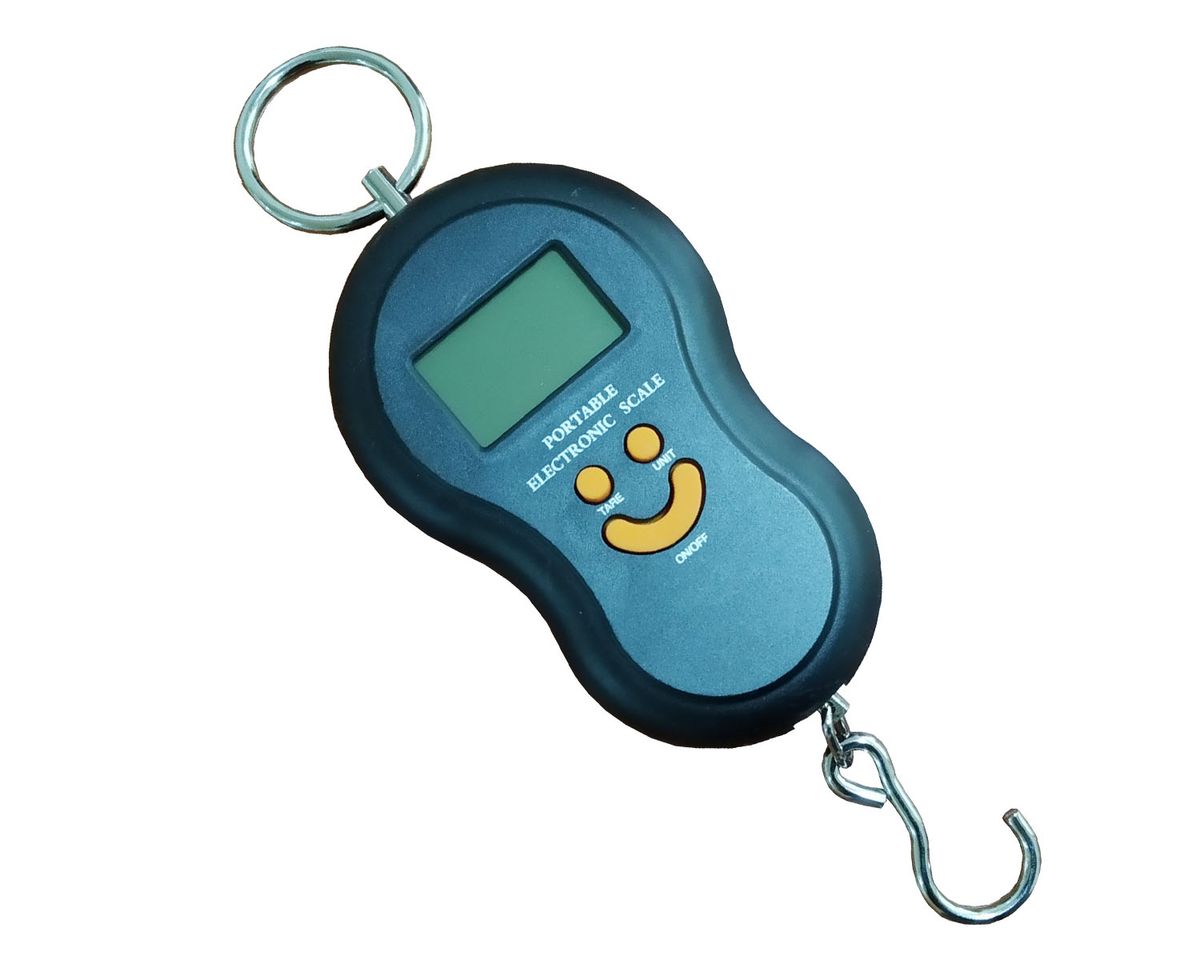 Electronic Fishing Scale - 50kg | Shop Today. Get it Tomorrow ...