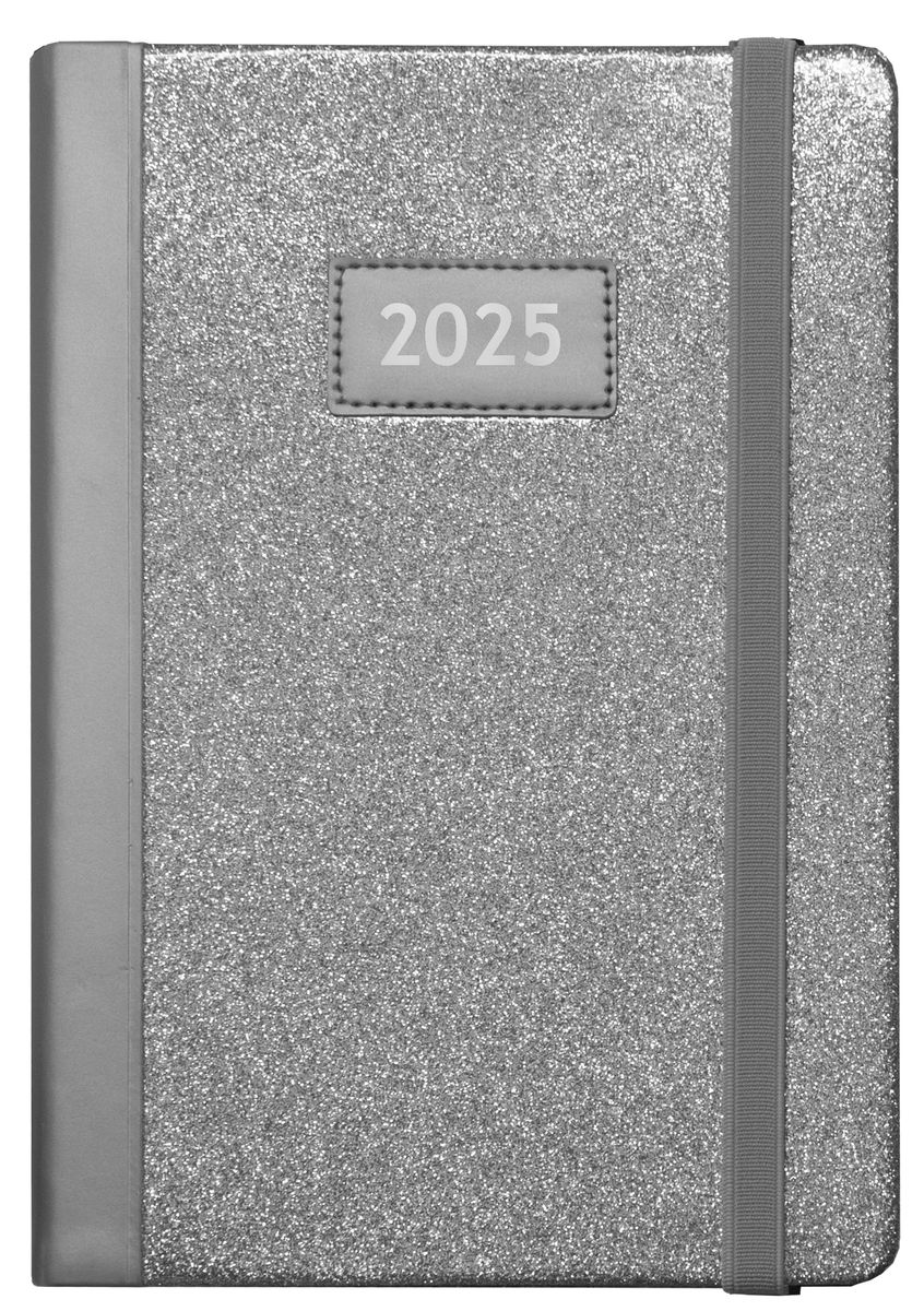 2025 A5 Trend Glitter Diary (Silver) | Shop Today. Get it Tomorrow ...