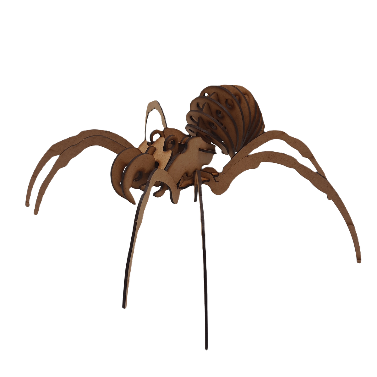 Spider 3D Puzzle Wooden 3D Model Everything Laser Insect Animal | Shop ...