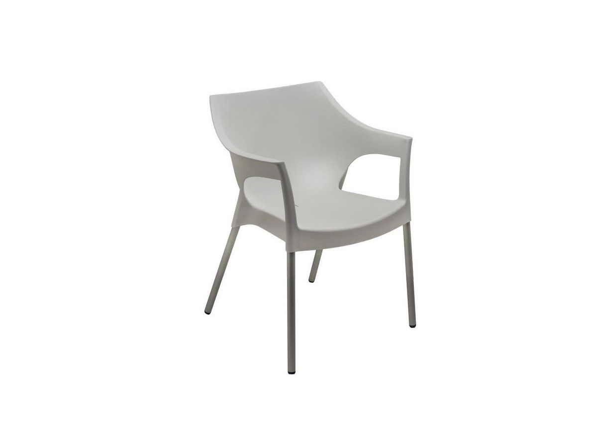 Chelsea Chair Premium Quality | Shop Today. Get it Tomorrow! | takealot.com