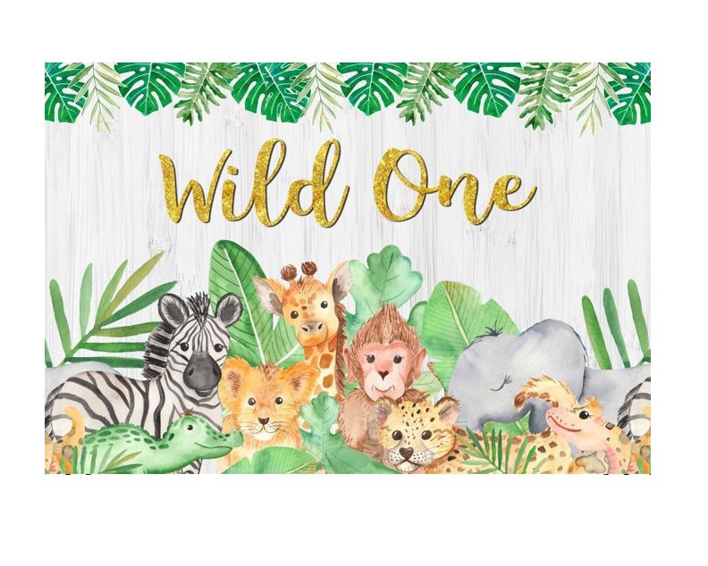 Small Kids Birthday Party Table and Photography Backdrop (Wild One ...