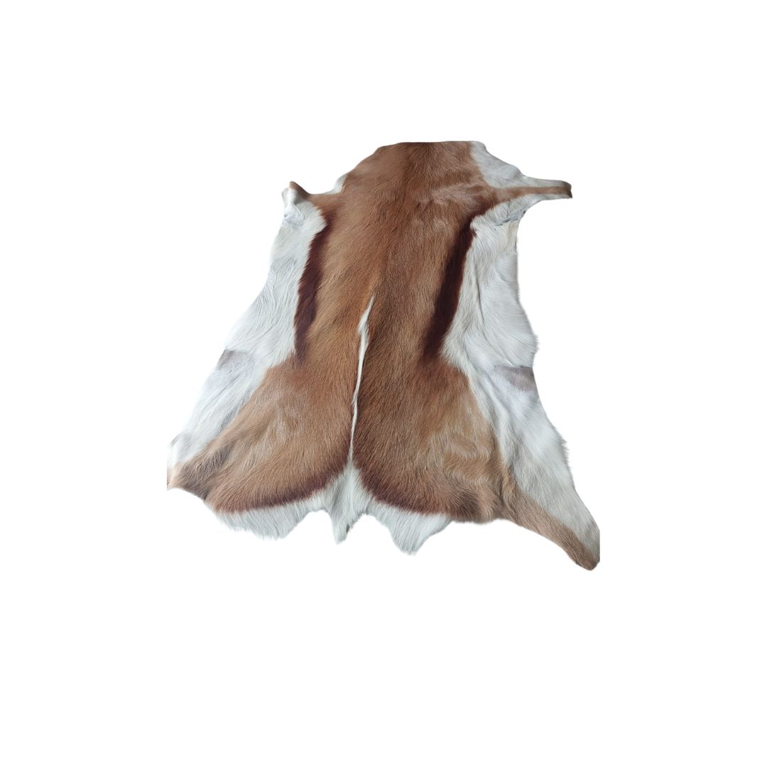 Natural Springbok Hide | Shop Today. Get it Tomorrow! | takealot.com