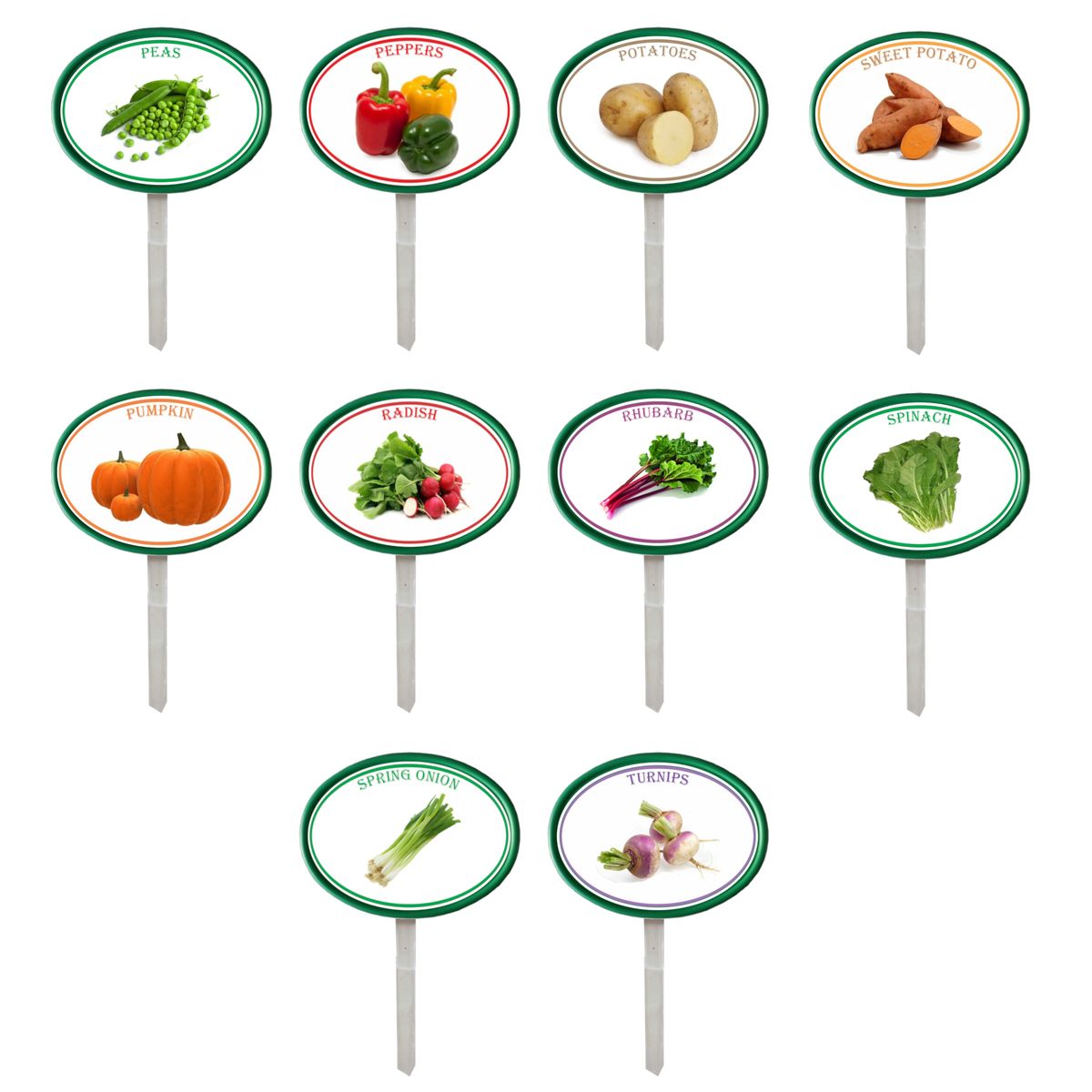 Garden Pops - Vegetables - Pack 3 (Set of 10) | Shop Today. Get it ...