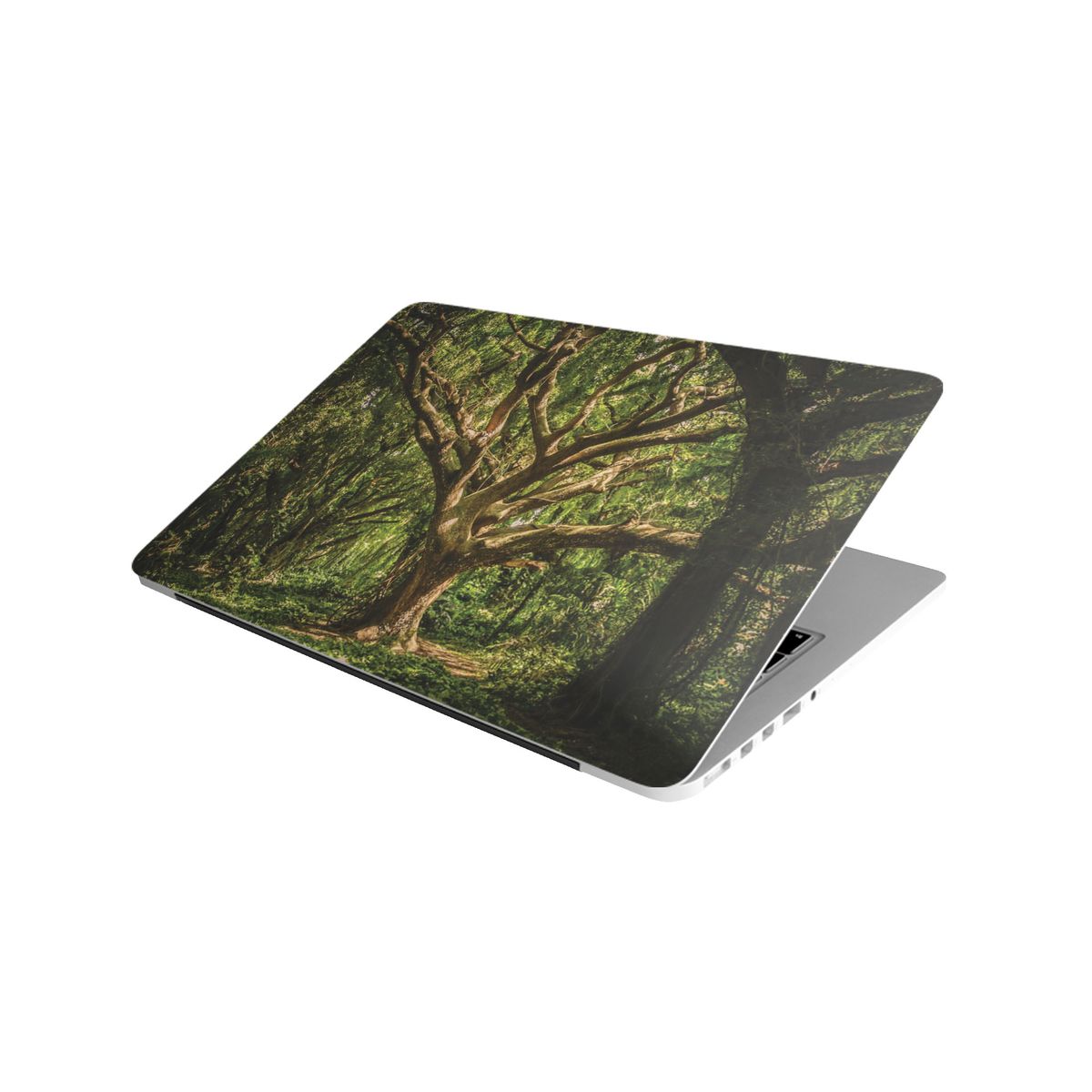 Laptop Skin/Sticker - Tree In Woods | Shop Today. Get it Tomorrow ...