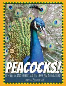 Peacocks! Fun Facts and Photos About These Amazing Birds for Kids ...