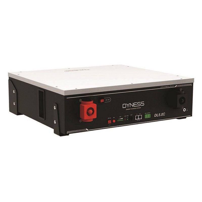 Dyness DL5.0C-51.2V 100AH 5.12kWh LiFePo4 Lithium Ion Battery | Shop Today. Get it Tomorrow ...