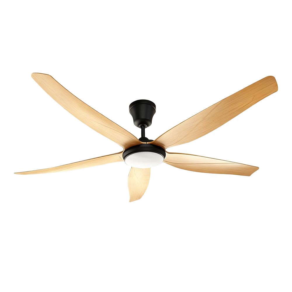AUSMA 42 inch Quiet Ceiling Fan With Lights and Remote Control,5-Blade ...