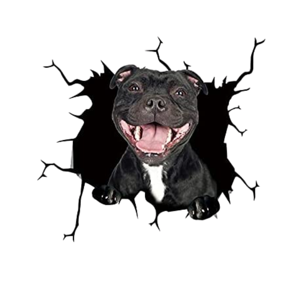 Staffordshire 3D Car Sticker Decal | Shop Today. Get it Tomorrow ...