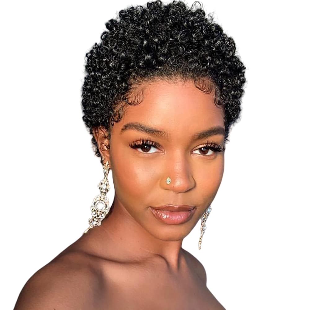 VSP Afro Kinky Short Curly Wig Human Hair Non-lace Afro Curly Pixie Cut ...