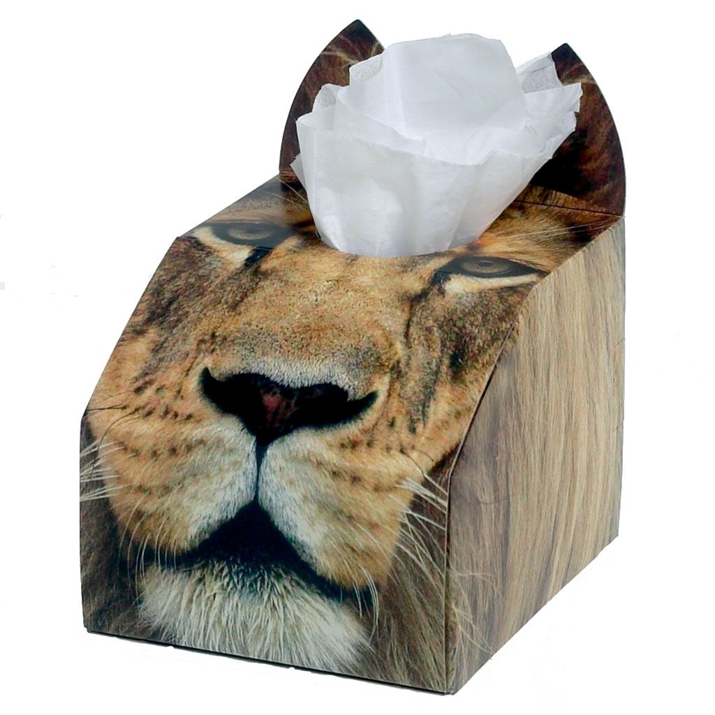 Wildlife Tissue Gift Box - Lion | Shop Today. Get it Tomorrow ...