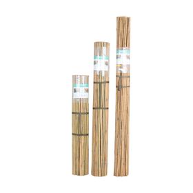 Bamboo Fencing Tonkin Cane - Natural | Shop Today. Get it Tomorrow ...