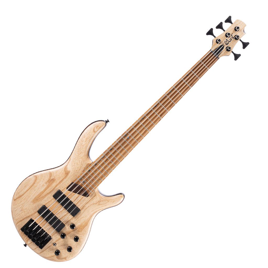 Cort Artisan B5 Element 5-String Bass Guitar | Shop Today. Get it ...