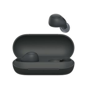 Sony WF-C700N True Wireless Noise Cancelling Earbuds | Shop Today. Get ...