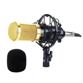 Andowl One-way recording microphone Q-MIC3 | Shop Today. Get it ...