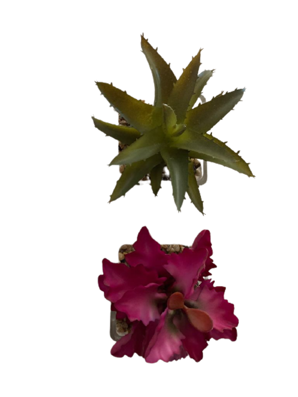 Set of 2 latex plants | Shop Today. Get it Tomorrow! | takealot.com