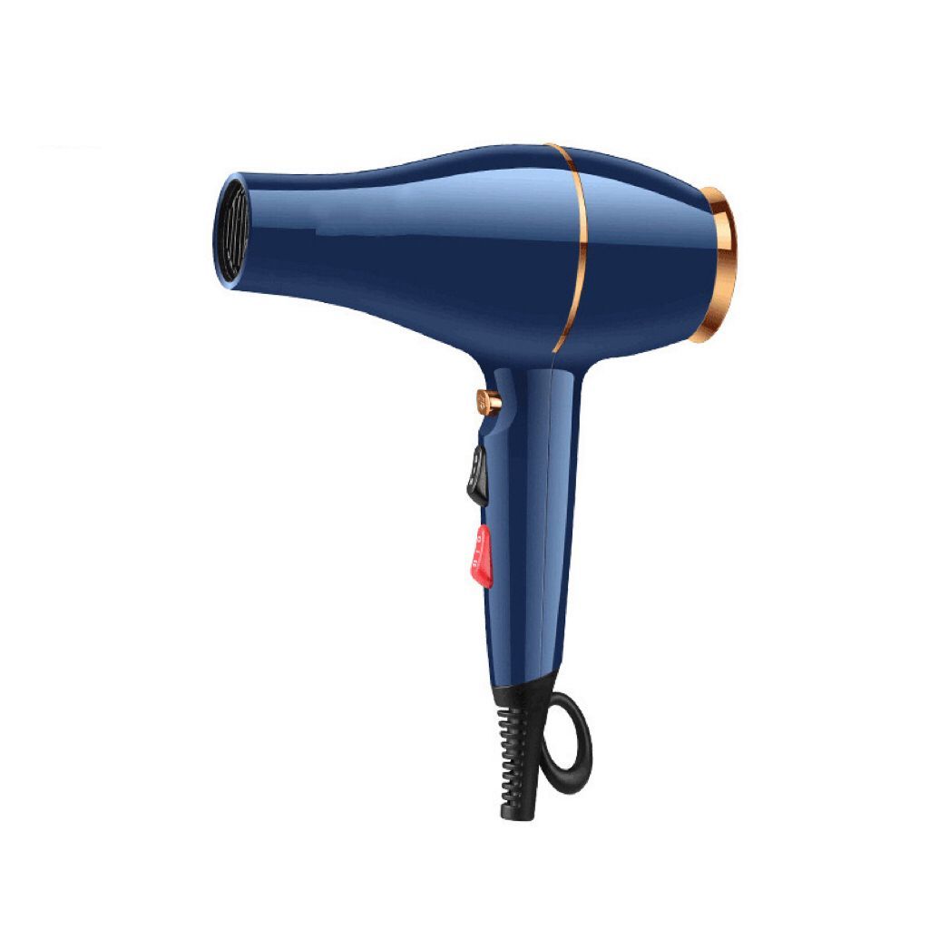 Professional Dual Motor Ionic Quick Drying Electric Blow Hair Dryer ...