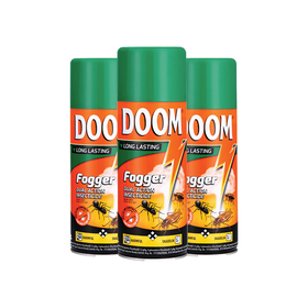 Doom Fogger Insecticide 350ml x 3 | Shop Today. Get it Tomorrow ...