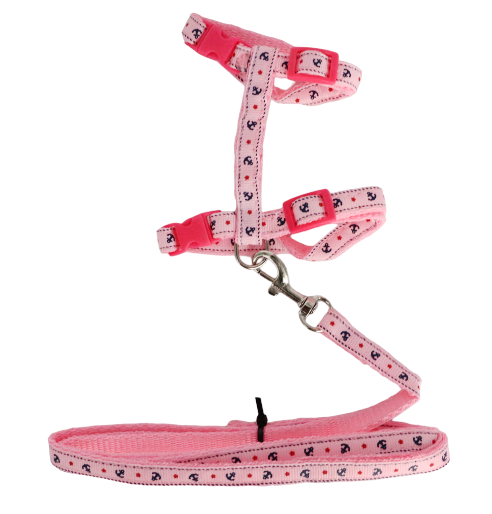 64 Cm Cat Leash - Indoor & Outdoor - Bone Pattern | Shop Today. Get it ...