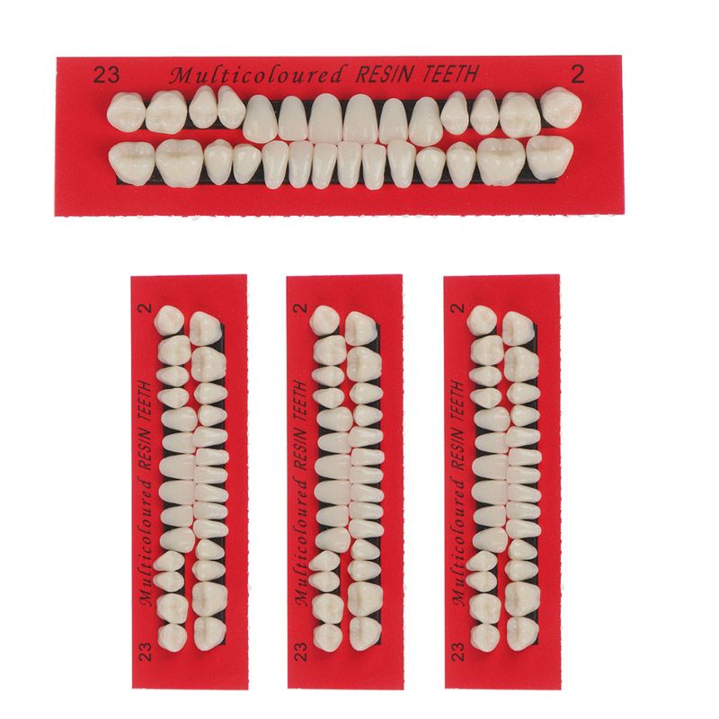 4 Sets Acrylic Resin Artificial Teeth Acrylic Dentures Upper and Lower ...