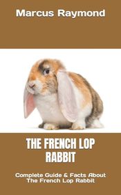 The French Lop Rabbit: Complete Guide & Facts About The French Lop ...