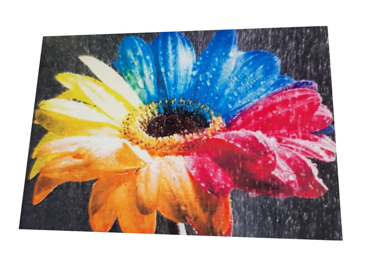 Diamond Dot Art Painting 30x40 Colourful Flowers GD75884 Buy 