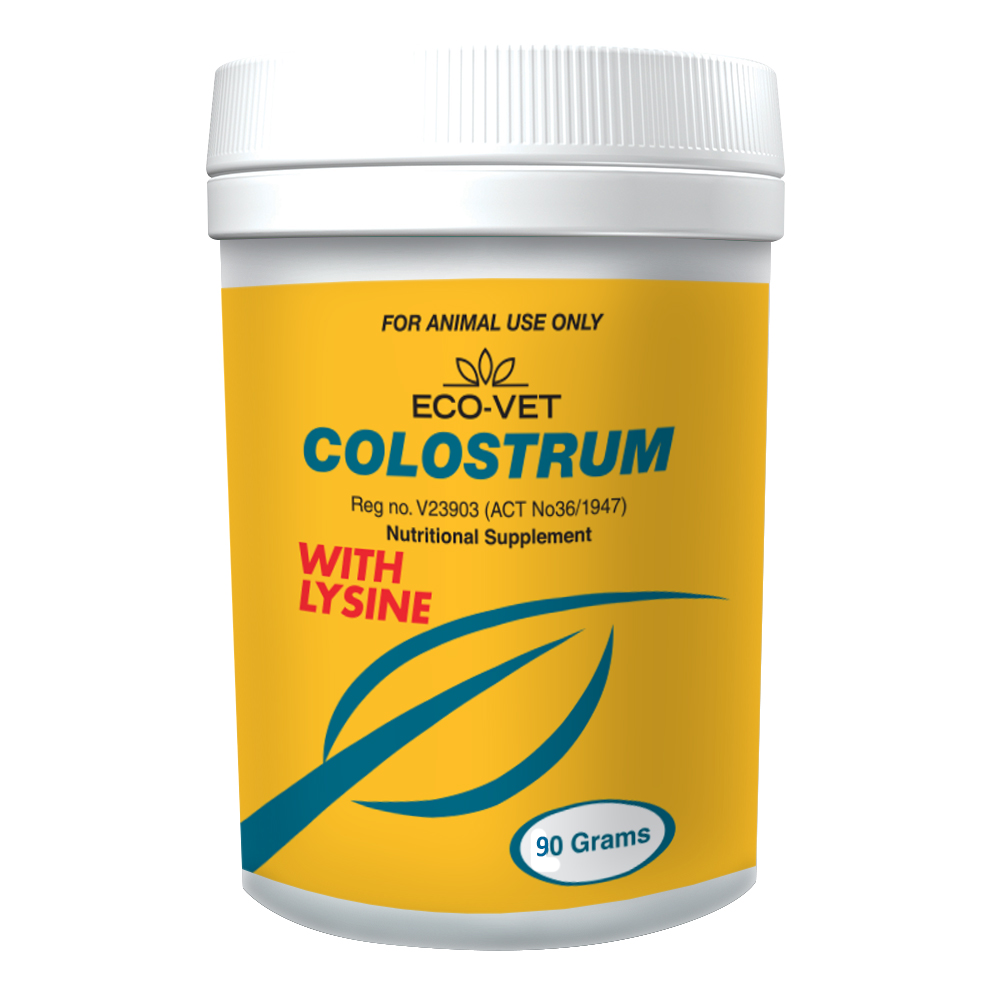 Eco - Vet- 90g Colostrum | Shop Today. Get it Tomorrow! | takealot.com
