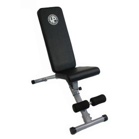 WP Pro Weight Adjustable Strength Training Bench with Fast Folding ...