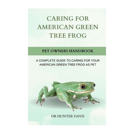 American Green Tree Frog Pet