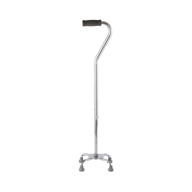 mx Walking Stick Quad | Shop Today. Get it Tomorrow! | takealot.com