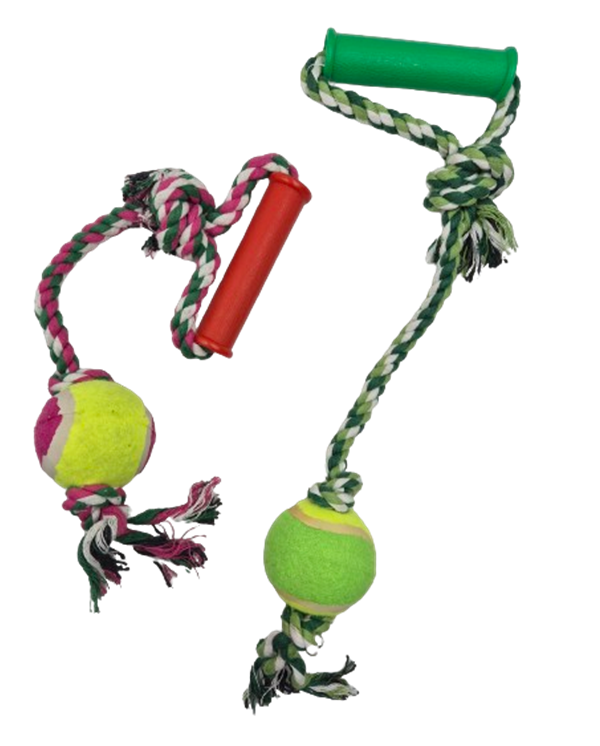 Dog Rope & Ball Toys - 2 Pack | Shop Today. Get it Tomorrow! | takealot.com