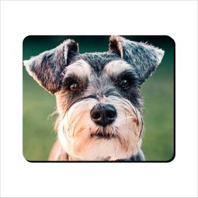 Mouse Pad - Scottie Looking | Shop Today. Get it Tomorrow! | takealot.com
