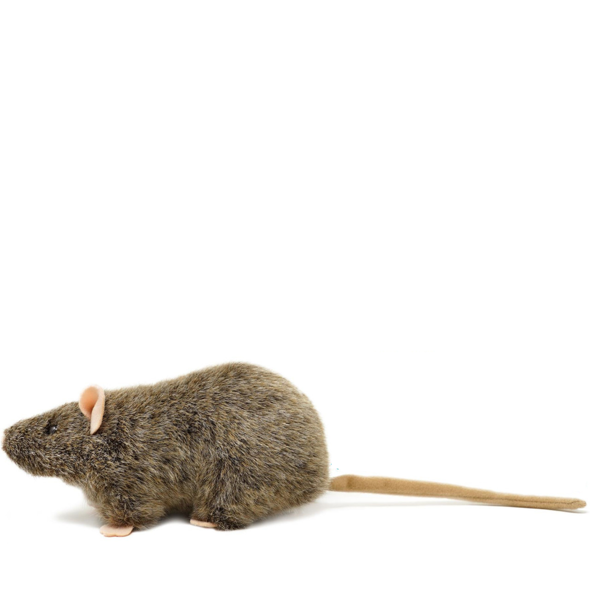 Reuben the Rat | Buy Online in South Africa | takealot.com