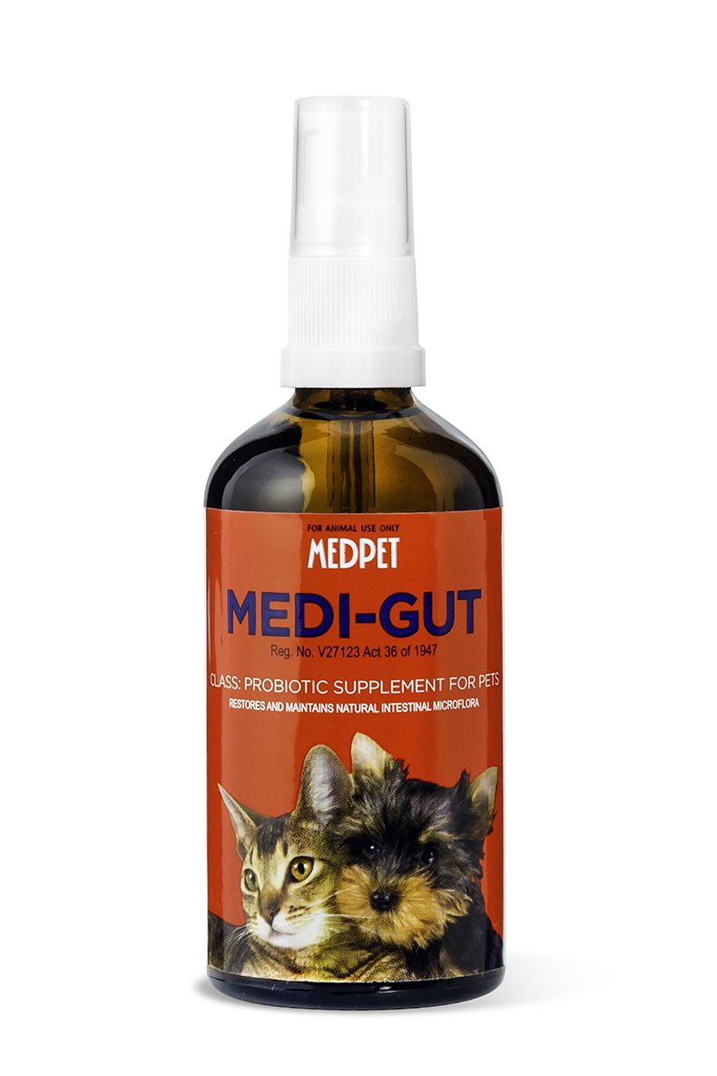 Medpet Medi-Gut Probiotic Supplement For Pets 100ml | Shop Today. Get ...