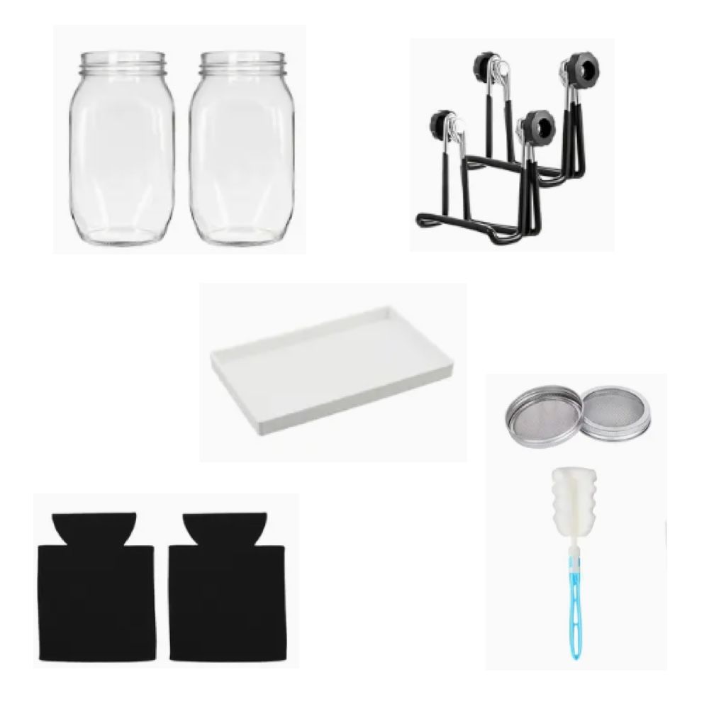 Kitchen Reusable Germination Sprouting Mason Jar Kit 10 Piece | Shop ...