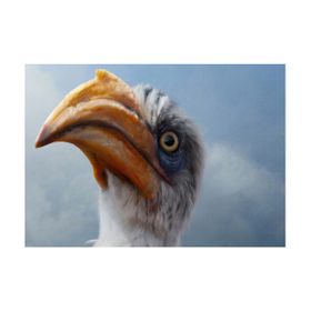 Realistic Zazu Bird - A1 poster | Shop Today. Get it Tomorrow ...