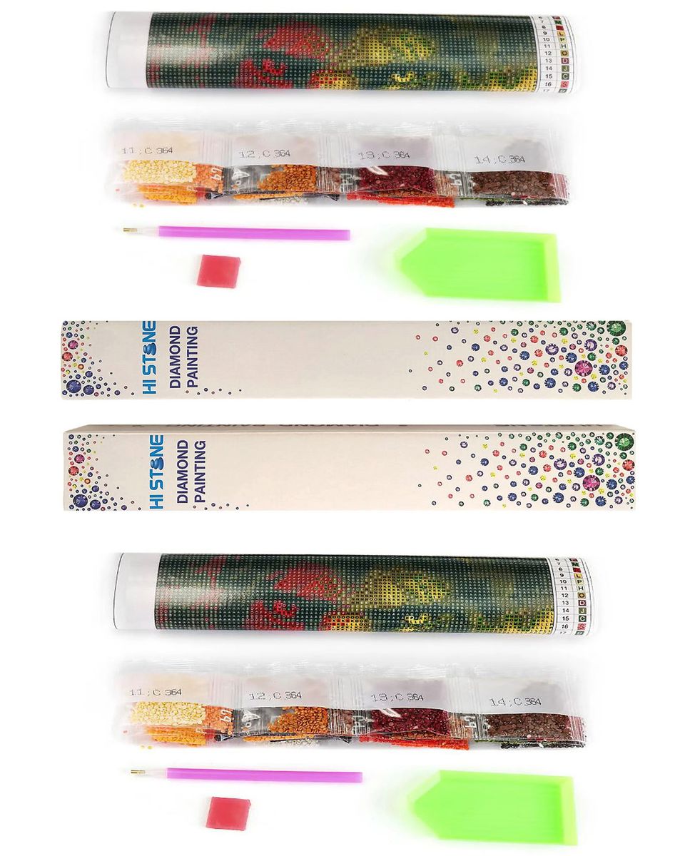 Assorted Diamond Dot Painting kit - 30x40cm (Set of 2) | Shop Today ...